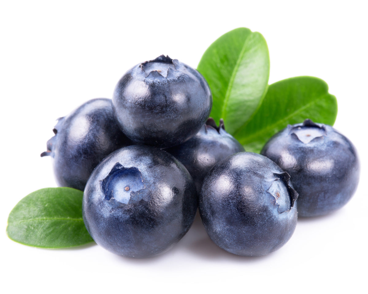 Bleuets 6 oz – Les récoltes Marcotte